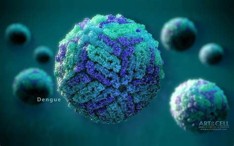 Dengue Virus 019 Medical And Scientific Video Animation And Illustration By John Liebler