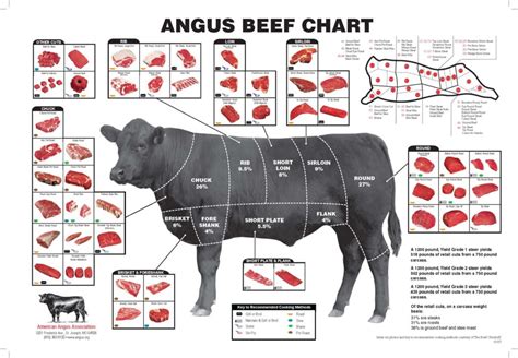 Order Now Angus Arabian Devon East