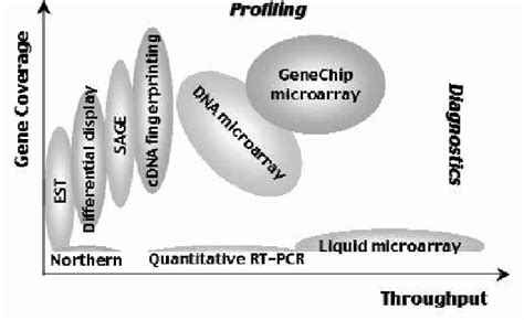 A Diagram Depicting The Throughput And Gene Coverage Of Different Gene