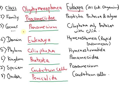 SOLVED: Place the correct labels next each taxonomic level for Paramecium presented in this ...