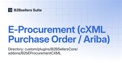 E Procurement Cxml Purchase Order Ariba B2bsellers Suite