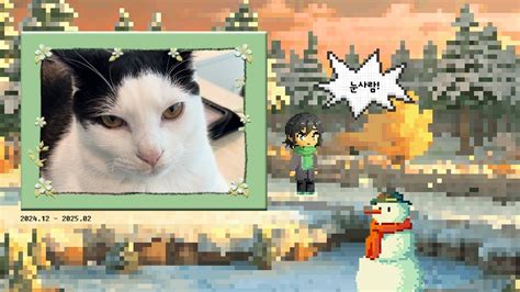 자취 브이로그 건강 이야기 And 일상 브이로그 Youtube