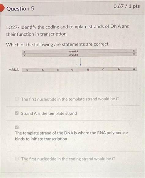 Solved Lo27 Identify The Coding And Template Strands Of Dna