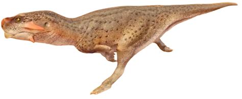 Psittacosaurus Sibricius By Kingofallkongs On Deviantart