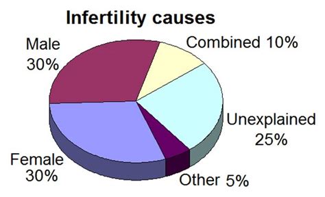 How Fertile Am I Possible Risk Factors And Signs Of Infertility How To