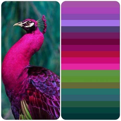 25 Color Palettes Inspired By The Pantone Spring 2018 Color Trends Ny