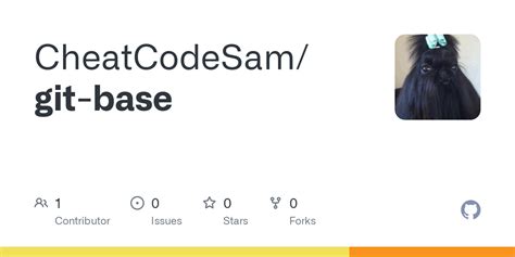 Github Cheatcodesamgit Base