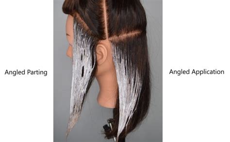 Blending Techniques Hair Colour For Hairstylists Level