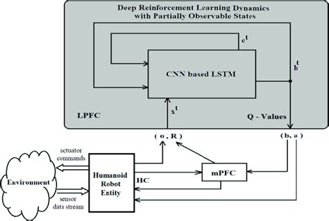 Machine Learning Model Of Lateral Prefrontal Cortex Lpfc Download