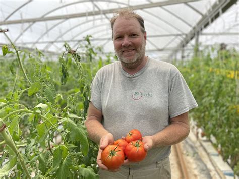 Greenhouse Tomatoes Use Less Water Why Arent There More Greater La