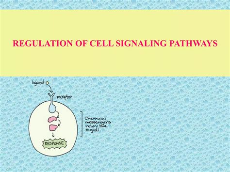 Cell Signalling Ppt