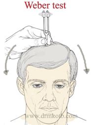Cranial Nerve Testing Flashcards Quizlet
