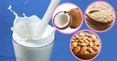 Хүний биед хамгийн их ашиг тустай 6 төрлийн сүү ба тэдгээрийн зохистой