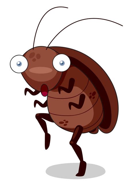 Cockroach Icon Clipartworld