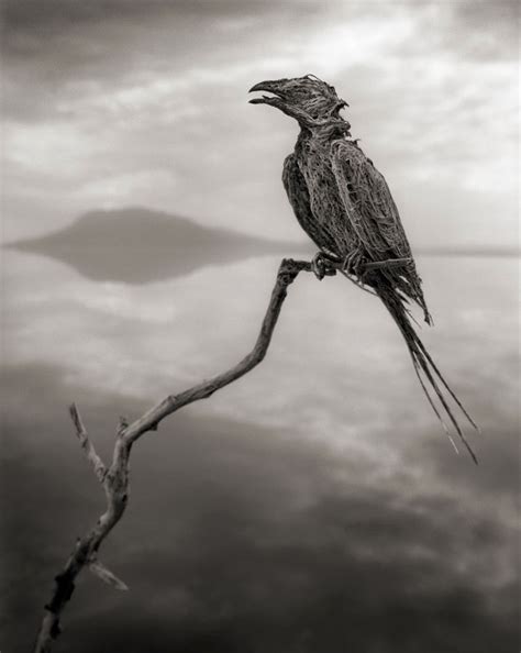 Lake Natron The Killer Lake That Literally Petrifies The Animals Into
