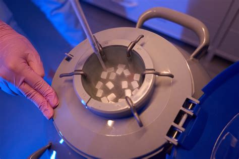 Cryopreservation Best Practices For Ultra Low Temperature Storage Custom Biogenics