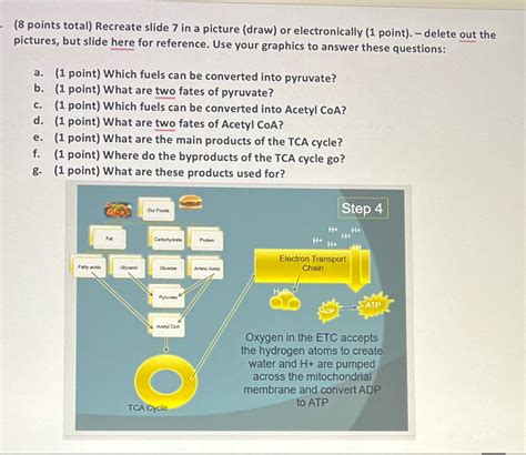 solved 8 ﻿points total ﻿recreate slide 7 ﻿in a picture