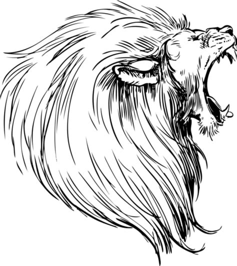 Angry Lion Drawing Face