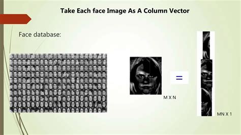 Face Recognition Using Principle Component Analysispptx