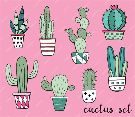 Premium Vector Cactuses And Succulents Hand Drawn Set Flowers In Pots