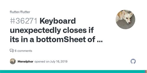 Keyboard Unexpectedly Closes If Its In A BottomSheet Of A Named Route Issue Flutter