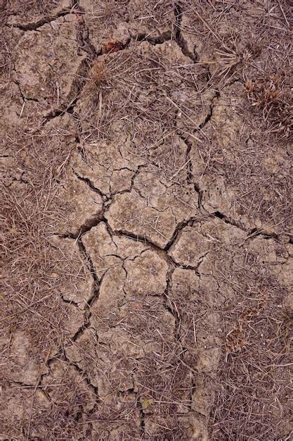 Suelo Seco Del Desierto Cambio Climático Calentamiento Global Foto