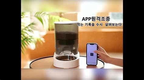 강아지 고양이 반자동 급식기 급수기 사료공급기 Youtube
