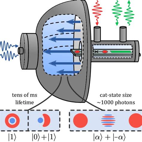 Illustration Of The Quantum Memory The Halfelliptical Cavity Top Is