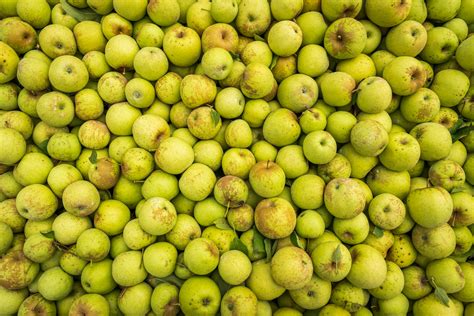 Malus Domestica 건강한 건강한 식생활 과수원 농산물 과일 과일 시장 녹색 녹색 과일 녹색 사과 농산물 시장 농업 다이어트 대량 사과