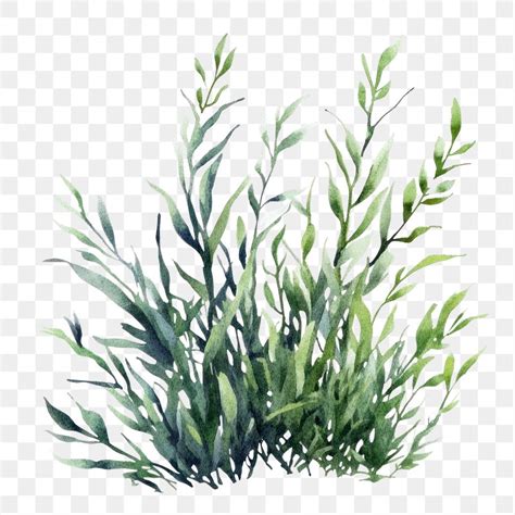 Neptune PNG Images Free Photos PNG Stickers Wallpapers Backgrounds Rawpixel