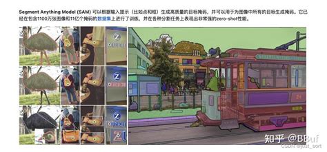 Segment Anything模型部分结构和代码解析 知乎