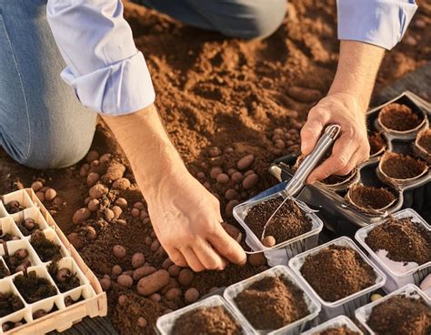 Farmer Checking Soil Quality With Soil Sample Kit Premium Ai