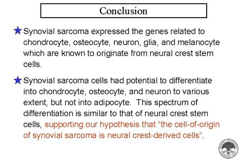 Geneexpression Pattern And Differentiation Potential Of Synovial Sarcoma