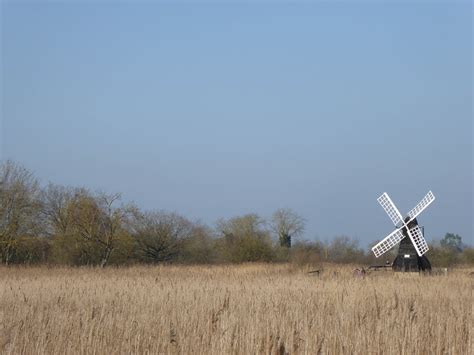 Wild And Wonderful Nt Wicken Fen