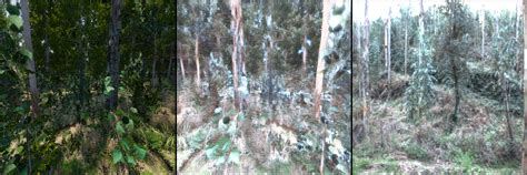 Some Generated Images Are Left Right Flipped Issue Taesungp Contrastive Unpaired