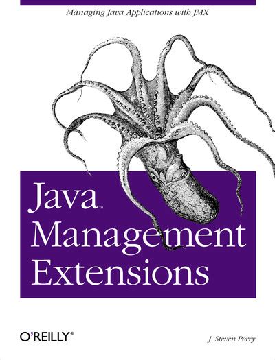 Java Management Extensions Book
