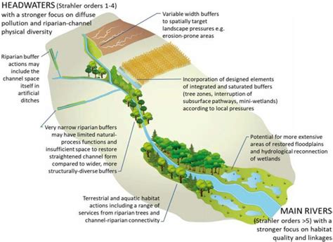 Restoring Indus Rivers Ecosystems With With Riparian Management