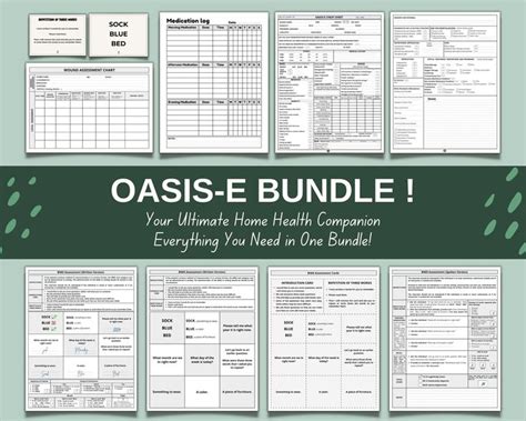 Oasis E Cheat Sheet Ultimate Bundle Start Of Care Template Bims