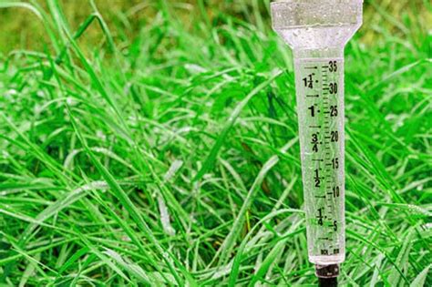 How To Measure Rainfall At Home A Guide HowToMeasure Net