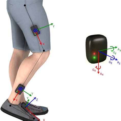 Placement Of Inertial Sensor Units Download Scientific Diagram