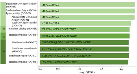 Pathway Enrichment Analysis Results For Genes Included In Download