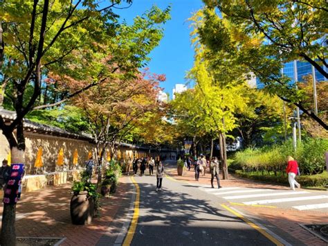 서울 여행 추천 덕수궁 돌담길 연인 이라면 꼭 걸어봐야하는 데이트 코스 단풍구경 네이버 블로그