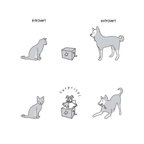 Introvert Vs Extrovert Memes That Will Make You Howl With Laughter Artofit