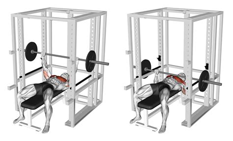 Pin Press Muscles Worked And More Inspire Us