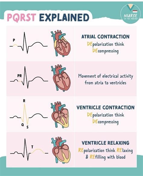 Pqrst Explained Nursingstudent Nurse Resources Image Credits