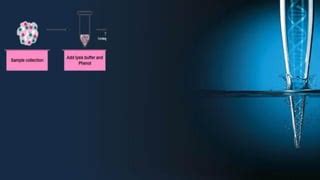 RNA Organic Extraction Pdf