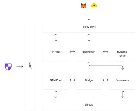 To Find Where Web3 Is Heading You Only Need To Look At Polygon