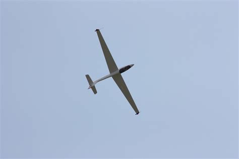 Show Hàng Gái ảnh Con Gái miễn phí Pixabay