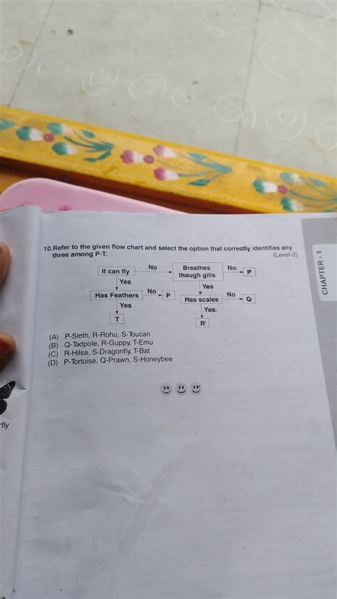 Refer To The Given Flow Chart And Select The Option That Correctly Identi