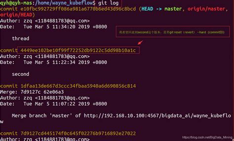 gitlab代码回滚到特定版本（本地 远程） 去掉保护分支 git回滚受保护的master分支的代码 csdn博客